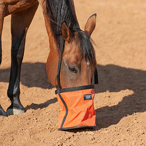 Cashel Company Feed Rite Bag Horse Orange, (FRB-ORA)