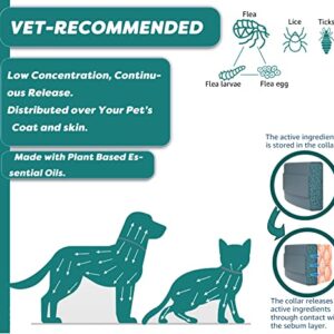 Flea and Tick Collar for Large Dogs - Natural Prevention, Control, and Treatment with Waterproof and Safe Ingredients - Includes Free Comb and 2-Pack (27.5 inches)