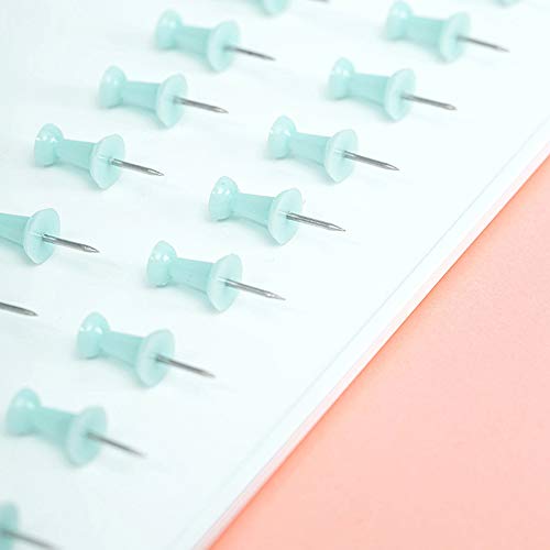 4-in-1 Boxed Binder Clips and Paper Clips Thumbtacks Set Assorted Sizes Small Medium Mini Paper Clamps Bulk for Office School Supplies Teachers Classroom Daily use (Light Green)