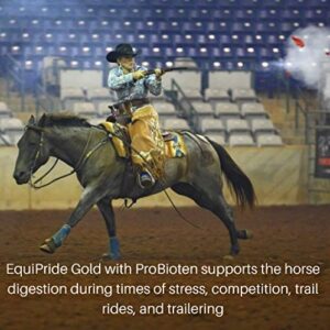 Equipride Gold with ProBiotein Supports The Horse by improving Appetite and Feed Utilization During Times of Stress. Use Before and After Competition, Trail Rides, or trailering.