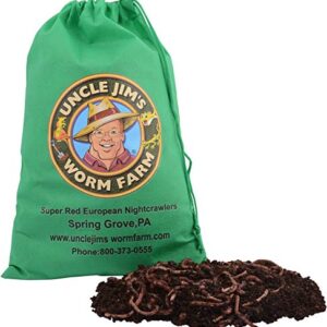 Uncle Jim's Worm Farm Live Super Red European Nightcrawlers for Composting and Garden Soil Aeration | Large Live Nightcrawlers Improve Soil Structure and Quality for Healthier Gardens | 100 Count