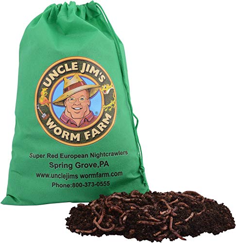 Uncle Jim's Worm Farm Live Super Red European Nightcrawlers for Composting and Garden Soil Aeration | Large Live Nightcrawlers Improve Soil Structure and Quality for Healthier Gardens | 100 Count