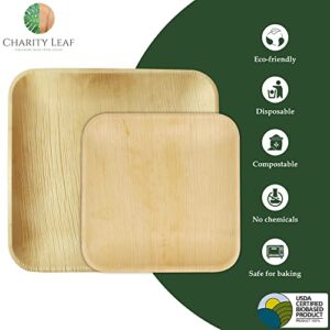 Charity Leaf Compostable Palm Leaf Dinnerware Set | 10" Square (25 pack) & 7" Square (25 pack) Like Bamboo Plates | Natural, Disposable & Eco Friendly | Perfect for Parties, Weddings & Catering Events