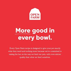 Open Farm, Beef Bone Broth, Food Topper for Both Dogs and Cats with Responsibly Sourced Meat and Superfoods Without Artificial Flavors or Preservatives, 12oz