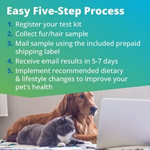 5Strands Pet Health Test - Food Intolerance, Environment Intolerance, Nutrition, Metals and Minerals - at Home Dog or Cat Hair Sample Collection Kit, Results in 7 Days, Works for All Ages and Breeds