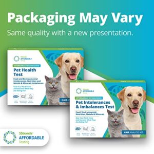 5Strands Pet Health Test - Food Intolerance, Environment Intolerance, Nutrition, Metals and Minerals - at Home Dog or Cat Hair Sample Collection Kit, Results in 7 Days, Works for All Ages and Breeds