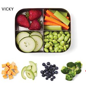 Bits Kits Stainless Steel Bento Box Lunch and Snack Container for Kids and Adults, 4 Sections