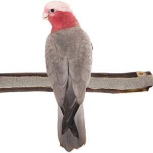 Sweet Feet and Beak Superoost Manzanita Pumice Pedicure Perch- Easy to Install Bird Cage Accessories for Healthy Feet, Nails and Beak - Natural Bird Perches Imitates Birds' Life in The Wild - M 10"