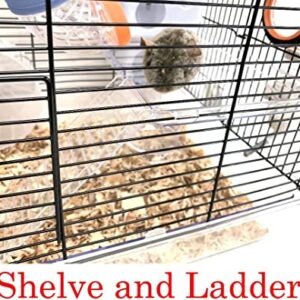 Large Clear Transparent Habitat Dwarf Syrian Hamster Rodent Gerbil Mouse Mice Critter Cage with Top Play Zone