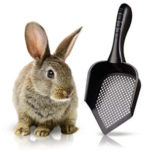 SunGrow Rabbits & Ferret Poop Scoop, Mealworm Sifter, Deep Plastic Shovel, Pointed Edge for Reaching Corners, for Cat Clumping Litter