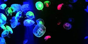 vip.line jellyfish aquarium background poster pvc fish tank decorations landscape (30" x 22"/ 76 x 56cm)