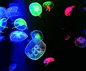 VIP.LINE Jellyfish Aquarium Background Poster PVC Fish Tank Decorations Landscape (30" x 22"/ 76 x 56cm)