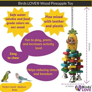 Birds LOVE Small Wood Pineapple w Leather Strings and Wood Pieces Bird Toy, Small Parrot Cockatiels Green Cheek Conures Mustaches Parakeets