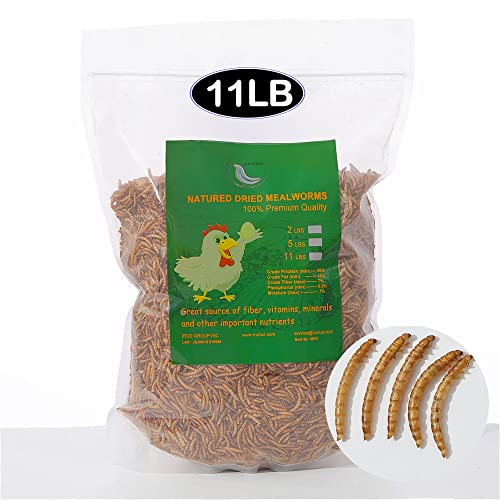 Euchirus 11LBs Non-GMO Dried Mealworms,High-Protein Larvae Treats Feed Molting Supplement for Birds Hens Ducks etc,Large Bulk Meal Worms Birds Chicken Food