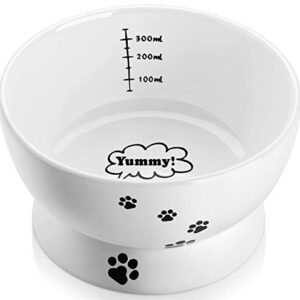 Y YHY Cat Bowl, 15 Ounce Cat Water Bowl, Raised Ceramic Cat Food Bowl, Elevated Cat Dog Dish No Spill, Pet Bowls for Cats or Small Dogs, Anti Vomiting, Measurable, White