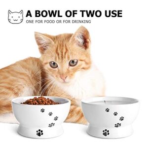 Y YHY Cat Bowl, 15 Ounce Cat Water Bowl, Raised Ceramic Cat Food Bowl, Elevated Cat Dog Dish No Spill, Pet Bowls for Cats or Small Dogs, Anti Vomiting, Measurable, White