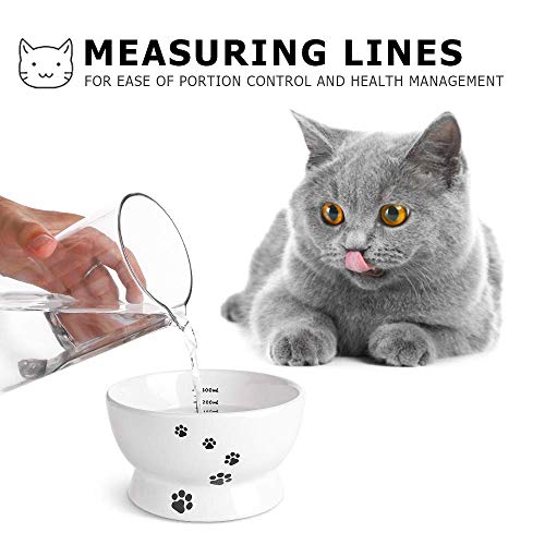 Y YHY Cat Bowl, 15 Ounce Cat Water Bowl, Raised Ceramic Cat Food Bowl, Elevated Cat Dog Dish No Spill, Pet Bowls for Cats or Small Dogs, Anti Vomiting, Measurable, White