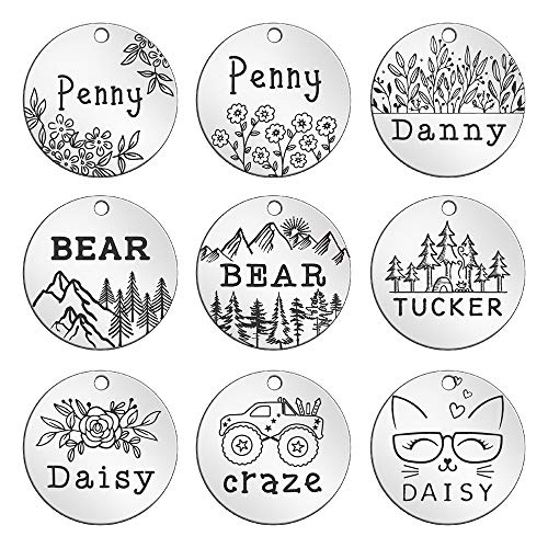 YiXiEr Cute Custom Pet ID Tags, Dog Tag and Cat Tag Personalized Engraved Double Sided - Round Stainless Steel