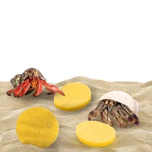 hermit crab sponges for water, 3 pack unbleached hermit crab accessories & supplies, pet crab sponges provide nutrients and maintain tank humidity, water dish yellow real sea sponges, 2" x 1"