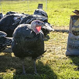 Scratch and Peck Feeds Premium Organic Turkey Grower with Corn - 40-lbs - Non-GMO Project Verified and Certified Organic