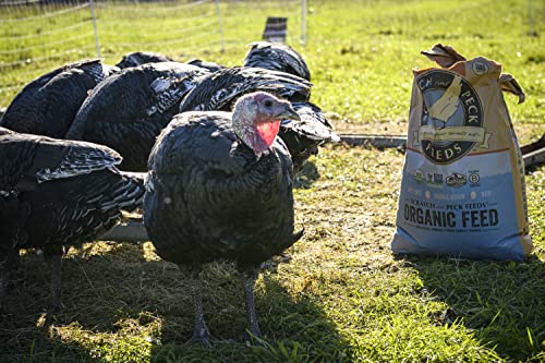 Scratch and Peck Feeds Premium Organic Turkey Grower with Corn - 40-lbs - Non-GMO Project Verified and Certified Organic