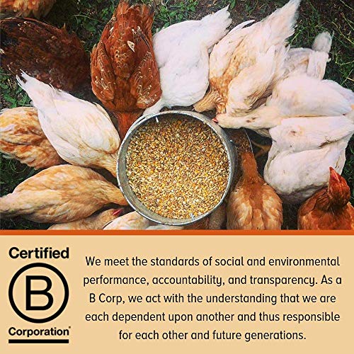 Scratch and Peck Feeds Premium Organic Turkey Grower with Corn - 40-lbs - Non-GMO Project Verified and Certified Organic