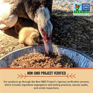 Scratch and Peck Feeds Premium Organic Turkey Grower with Corn - 40-lbs - Non-GMO Project Verified and Certified Organic