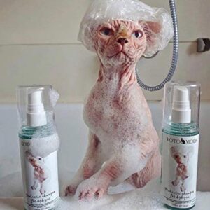 Kotomoda Probiotic Shampoo for Sphynx Cats (4.22)