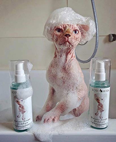 Kotomoda Probiotic Shampoo for Sphynx Cats (4.22)