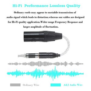 4-pin XLR Male Balanced to 4.4mm Female 8 Wire 152 Core Adapter for Sony PHA-2A,WM1A/1Z,iBasso,Fiio,HiFiman,NW-ZX300A,XBA-Z5,N1AP,Astell&Kern Layla Rosie,Roxanne II AK T8iE MKII Jack Connector