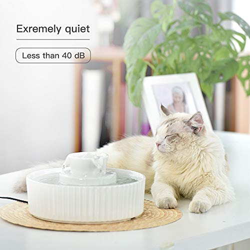 Cepheus Ceramic Pet Drinking Fountain, Ultra Quiet Cat Water Fountain, 2.1L Drinking Fountains Bowl for Cat and Dogs with Carbon Filter and Foam(White)