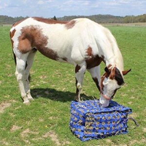 Derby Originals Natural Grazer Patented Four Sided Slow Feed Horse Hay Bale Bag with Exclusive Super Tough Bottom, Hunter Green (71-7133-HGR)