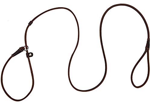 Real Leather Slip Dog Leash for Small Medium Dogs Puppies Lightweight Thin but Sturdy Adjustable Slip Lead Dog Leash Soft and Slim 5 ft x 1/5 inch (Small(5 ft x 1/5 inch))