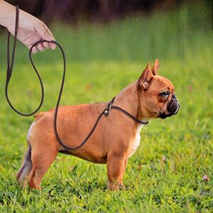 Real Leather Slip Dog Leash for Small Medium Dogs Puppies Lightweight Thin but Sturdy Adjustable Slip Lead Dog Leash Soft and Slim 5 ft x 1/5 inch (Small(5 ft x 1/5 inch))