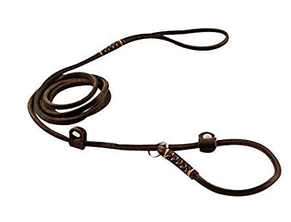 Real Leather Slip Dog Leash for Small Medium Dogs Puppies Lightweight Thin but Sturdy Adjustable Slip Lead Dog Leash Soft and Slim 5 ft x 1/5 inch (Small(5 ft x 1/5 inch))