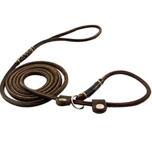 Real Leather Slip Dog Leash for Small Medium Dogs Puppies Lightweight Thin but Sturdy Adjustable Slip Lead Dog Leash Soft and Slim 5 ft x 1/5 inch (Small(5 ft x 1/5 inch))