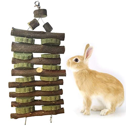 kathson Chinchilla Treats,Bunny Chew Toys for Rabbits Teeth Grinding Fruitwood Guinea Pigs Treats, Sticks for Rodent Pets Rats Hamsters Dwarf Rabbits Squirrels and Gerbils