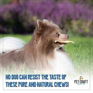 Pet Craft Supply Pure Natural Grass Fed Water Buffalo Ear Value Pack of 16 Ears Free Range Durable Tough Dog Chew and Treat for Aggressive Chewers and Puppies