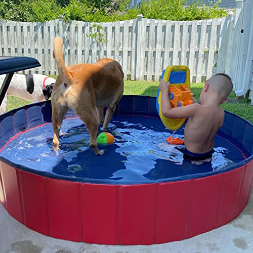 V-HANVER Foldable Dog Pool Collapsible Heavy Duty PVC Pet Pool Bath Tub for XLarge Dogs and Puppies, 63 X 12 inch