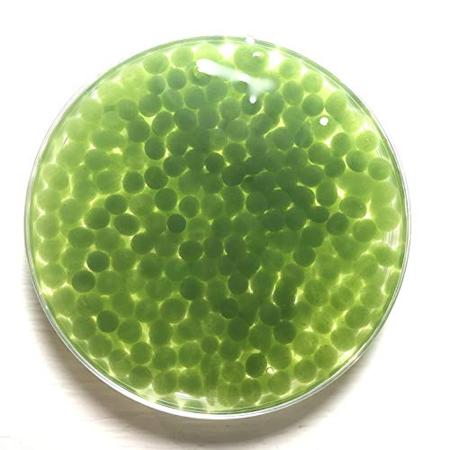 Algae Research and Supply: Algae Beads (Ready-to-go Algae Beads in Indicator- snap vials (x100))