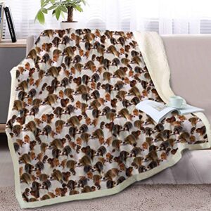 blessliving papillon dog blanket cute animal fleece blanket shepherd dog plush blanket soft sherpa blanket for bed and couch papillon dog lover gifts (twin size, 60 x 80 inches)