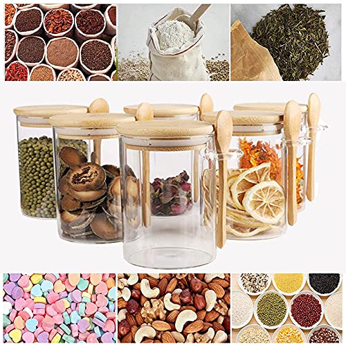 Glass Jars with Bamboo Lids and Spoon Airtight, 18.5Oz Food Storage Containers for Sugar Coffee Nuts, Glass Kitchen Canisters for Flour, Cookie, Candy, Matcha Tea, Oats and Spice Jars