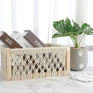 Macrame Storage Baskets for Shelves and Closet, Boho Decorative Boxes for Home Decor, Perfect Pampas Grass Holder at Living Room(White, Set of 3)