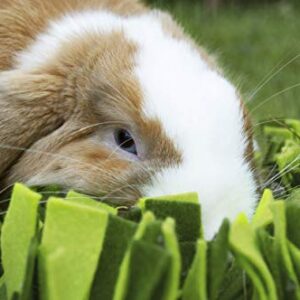 Rosewood Snuffle Forage MAT for Small Animals