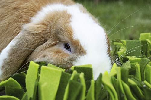 Rosewood Snuffle Forage MAT for Small Animals