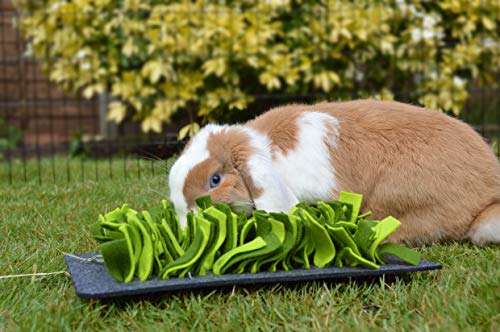 Rosewood Snuffle Forage MAT for Small Animals