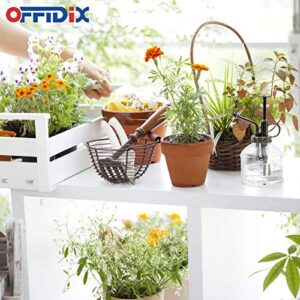 OFFIDIX Transparent Glass Watering Spray Bottle,Plant Mister with Plastic Bronze Plastic Top Pump, Glass Small Watering Can for Indoor Potted Plant, Outdoor Indoor Garden, Plants, Cleaning Solutions