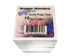 oceans wonders ceramic xxl 3" coral frag tiles 10pc