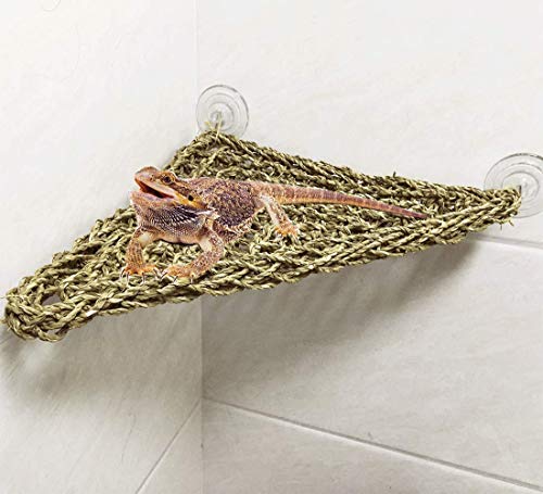 warmgone Bearded Dragon Hammock Lizard Lounger,100% Natural Seagrass Fibers for Reptiles,Geckos,Anoles,Iguanas,Hermit Crabs and Snakes,Triangular 12.5 x 17 inches