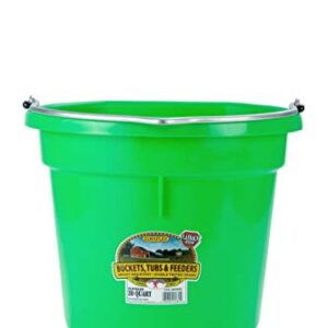 Plastic Animal Feed Bucket (Lime Green) - Little Giant - Flat Back Plastic Feed Bucket with Metal Handle (20 Quarts / 5 Gallons) (Item No. P20FBLIMEGRN6)